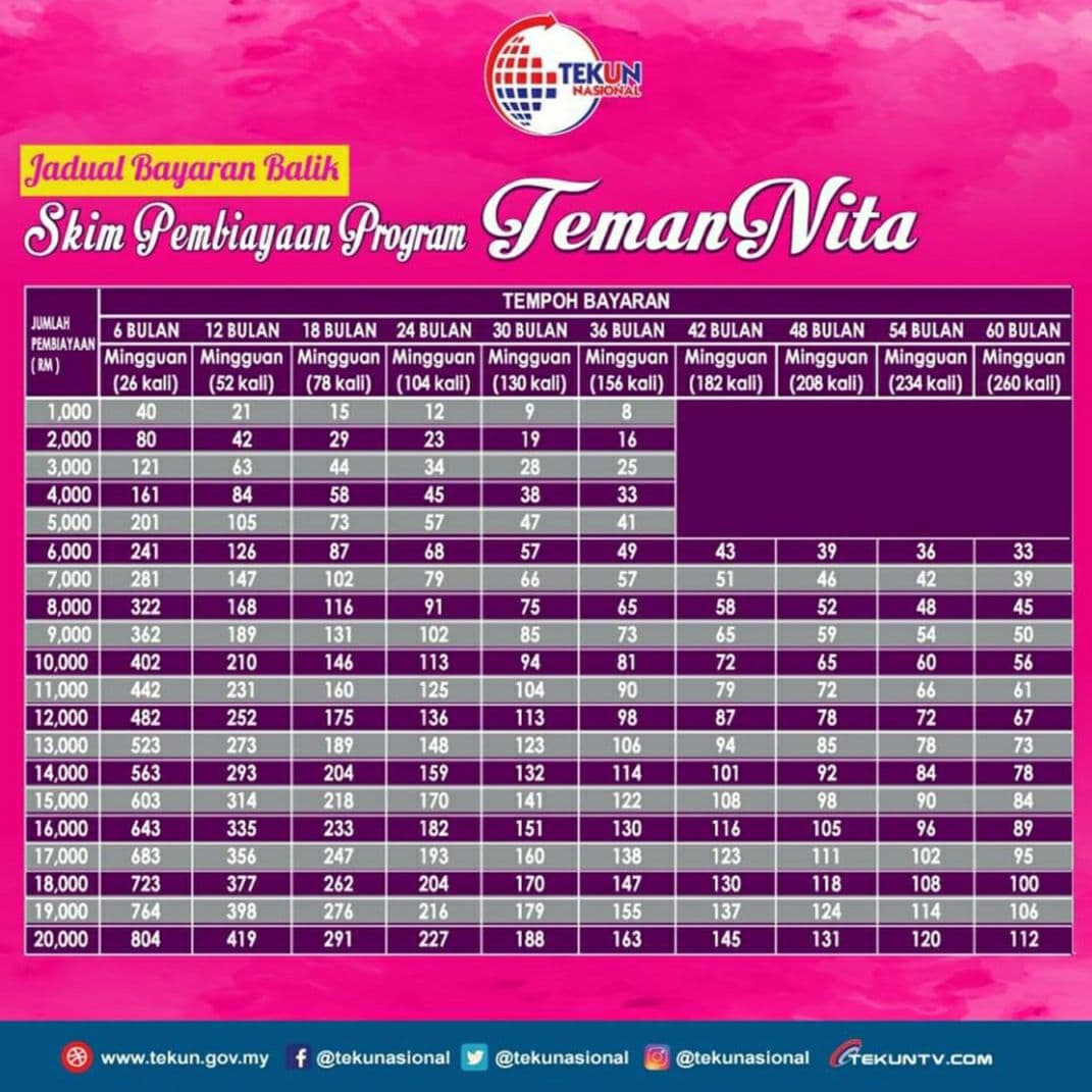Skim Pembiayaan Program TemanNita TEKUN - LunaStory.com
